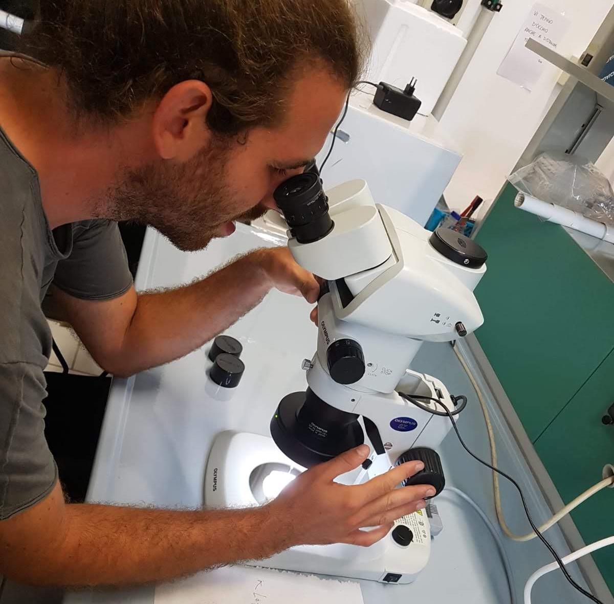 JointLab - ZooPlantLab